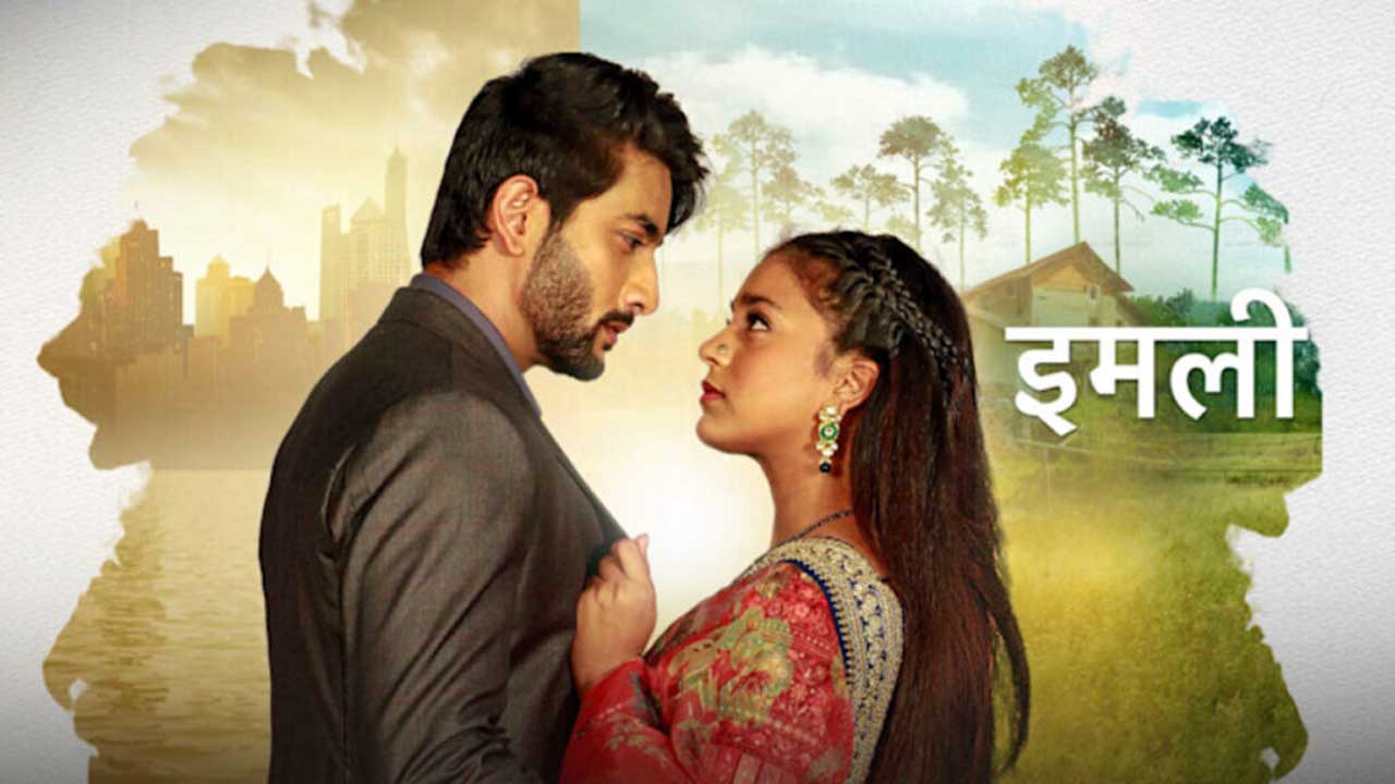 Top Hindi Serials TRP Ratings of 2024
